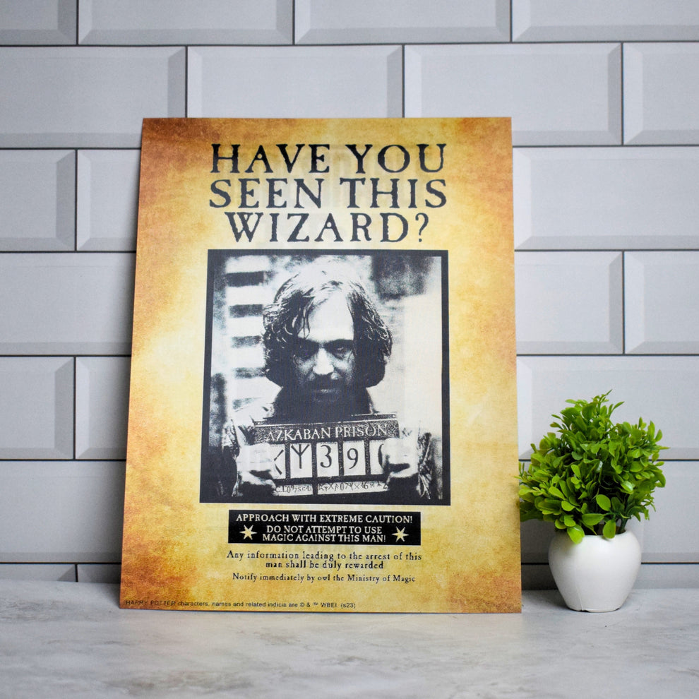 Harry Potter A3 Wanted Poster – Sirius Black & Undesirable No. 1 | Premium Dual-Side Poster ...