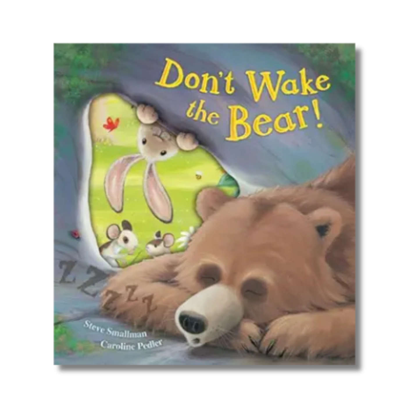 Don't Wake the Bear, Hare! By Steve Smallman (Paperback) - Gyaanstore